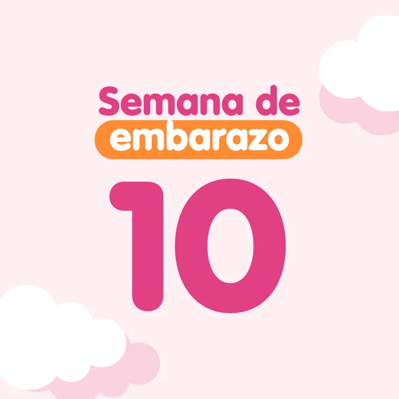 Semana 10 de embarazo - Aprende con Gestar con amor