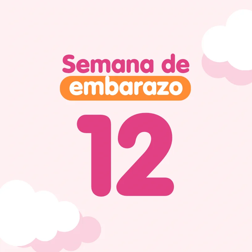 Semana 12 de embarazo - Aprende con Gestar con amor