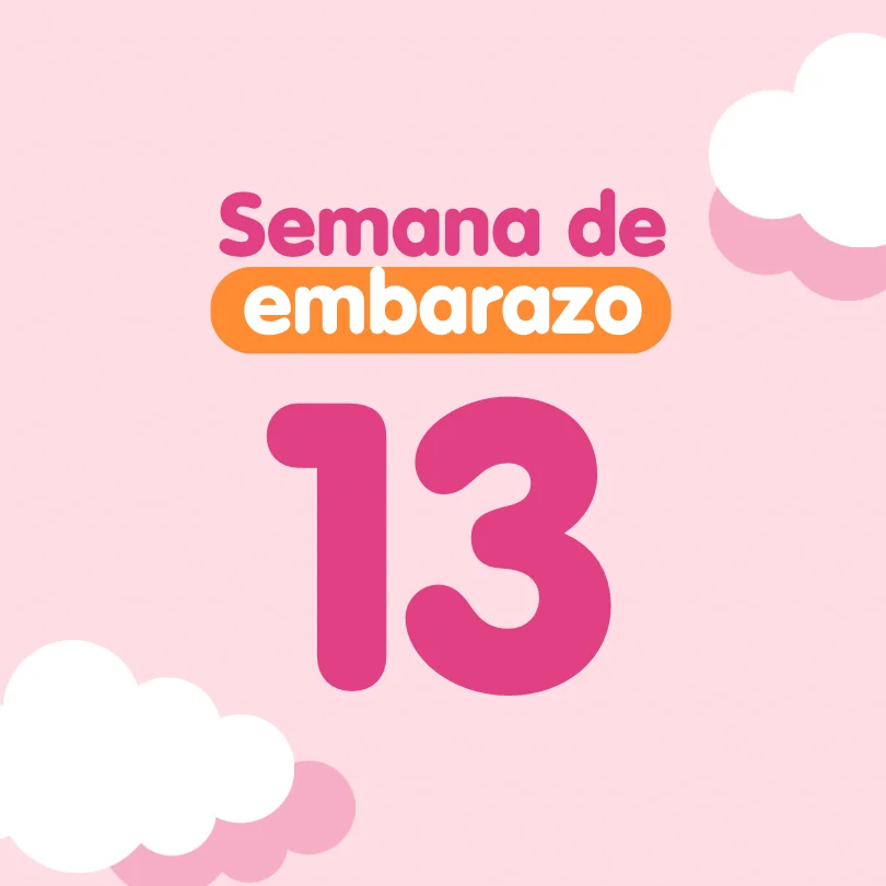 Semana 13 de embarazo - Aprende con Gestar con amor