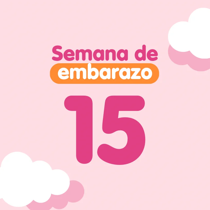 Semana 15 de embarazo - Aprende con Gestar con amor