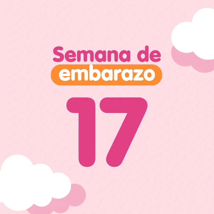 Semana 17 de embarazo - Aprende con Gestar con amor