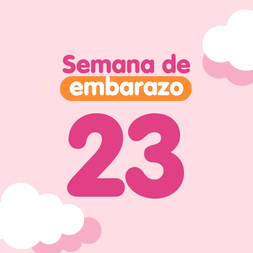 Semana 23 de embarazo - Aprende con Gestar con amor