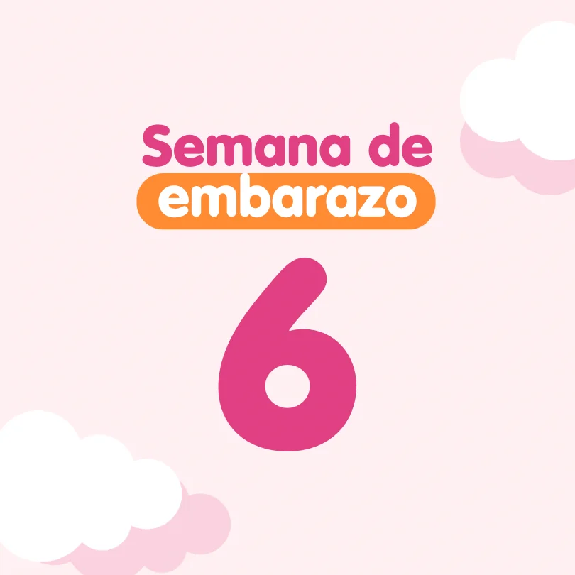 Semana 6 de embarazo - Aprende con Gestar con amor
