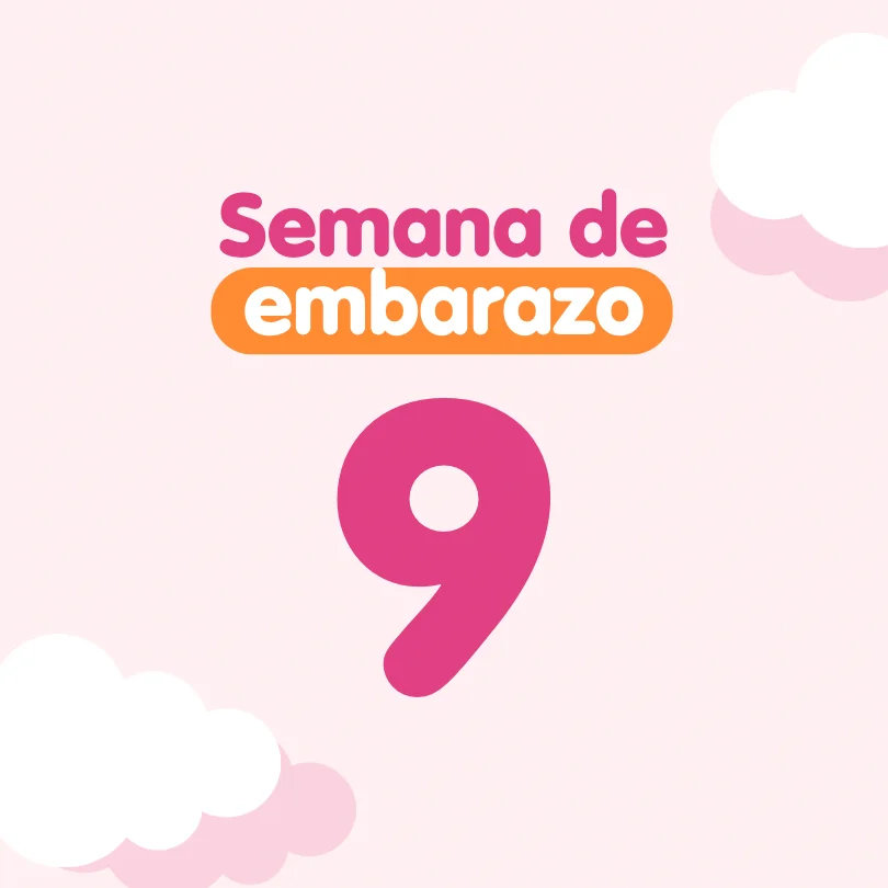 Semana 9 de embarazo - Gestar con Amor Aprende con Gestar con amor