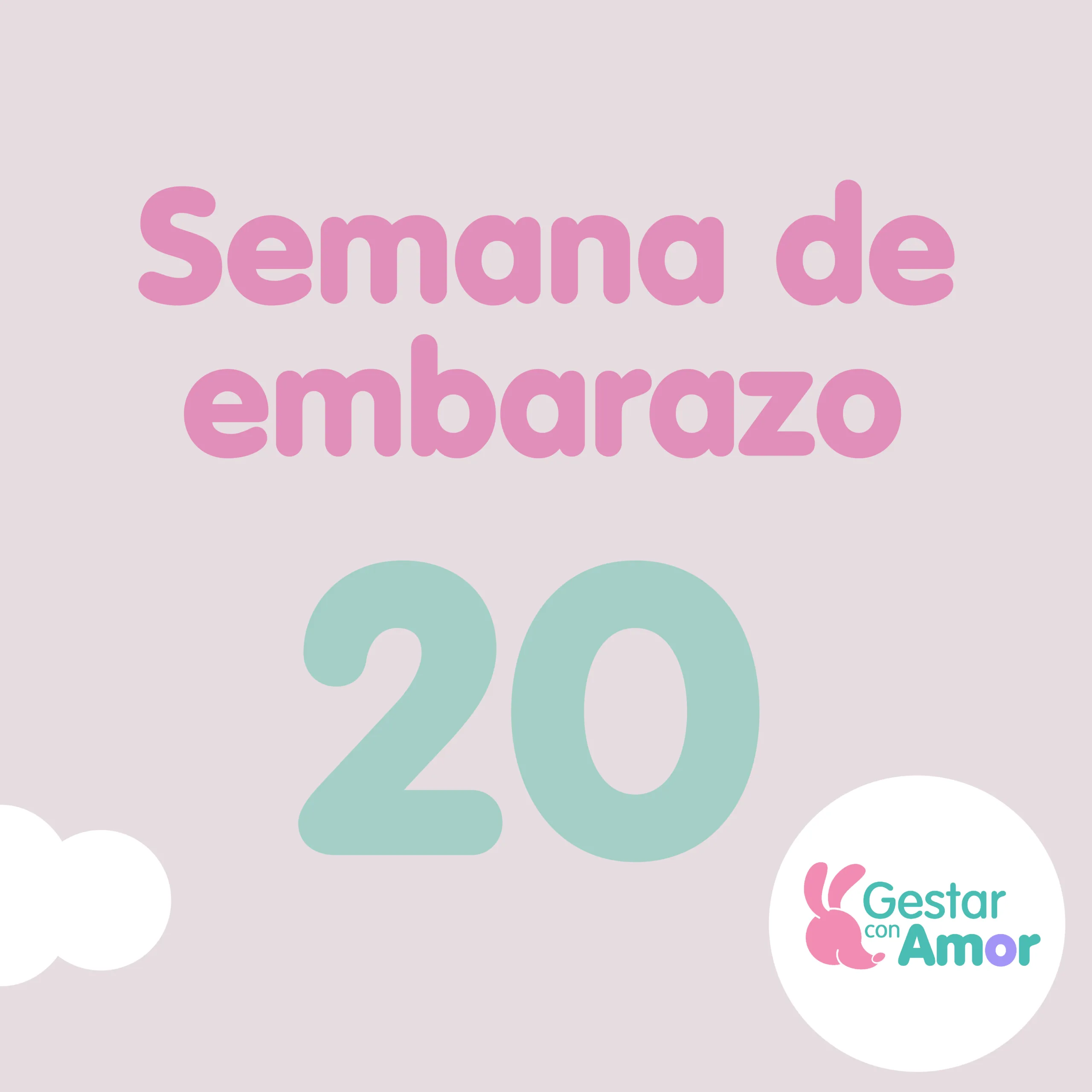 Semana 20 de embarazo - Aprende con Gestar con amor