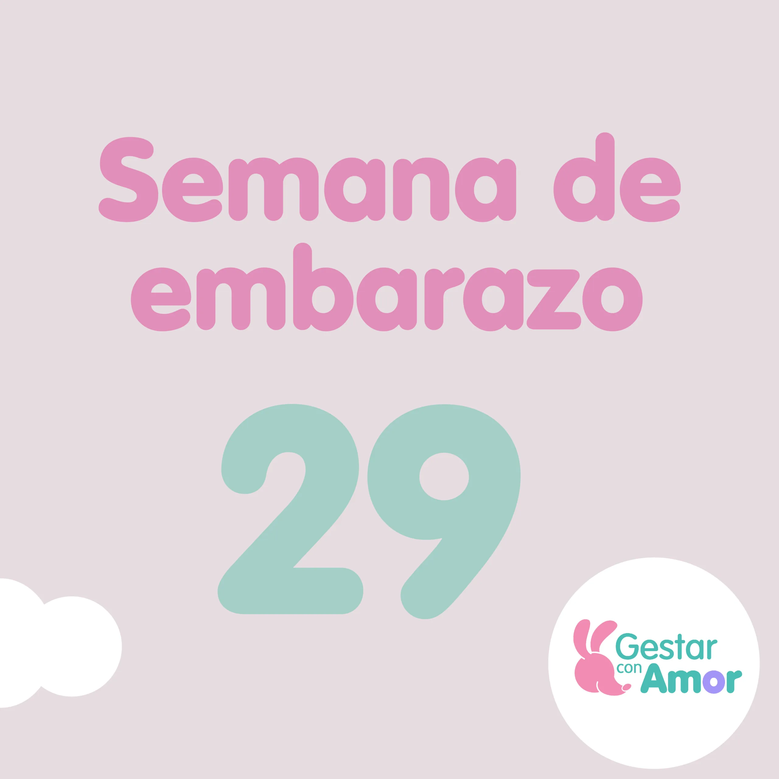 Semana 29 de embarazo - Aprende con Gestar con amor