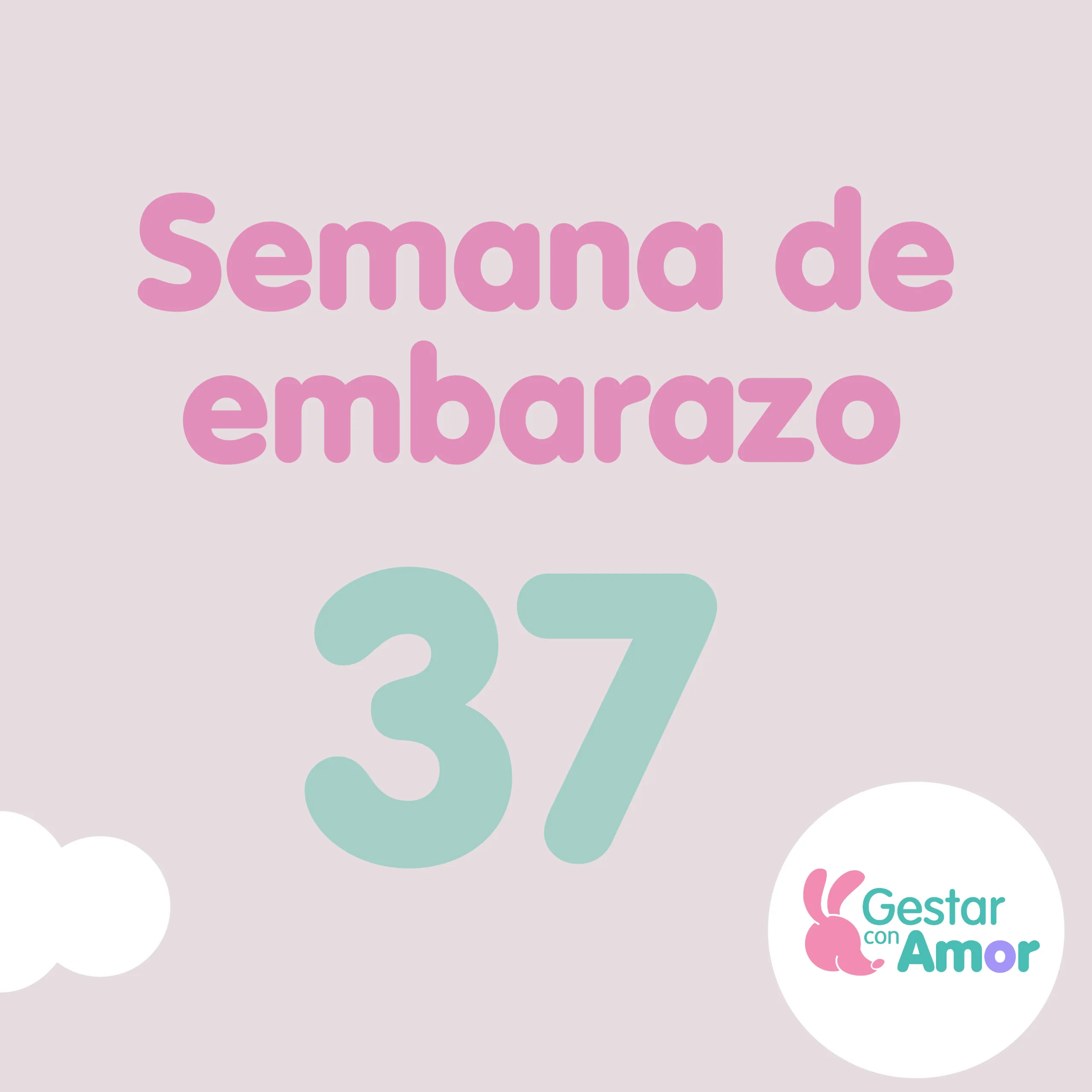 Semana 37 de embarazo - Aprende con Gestar con amor