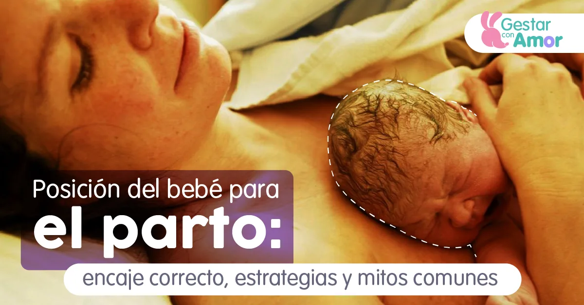 Posición del bebé para el parto - Gestar con amor