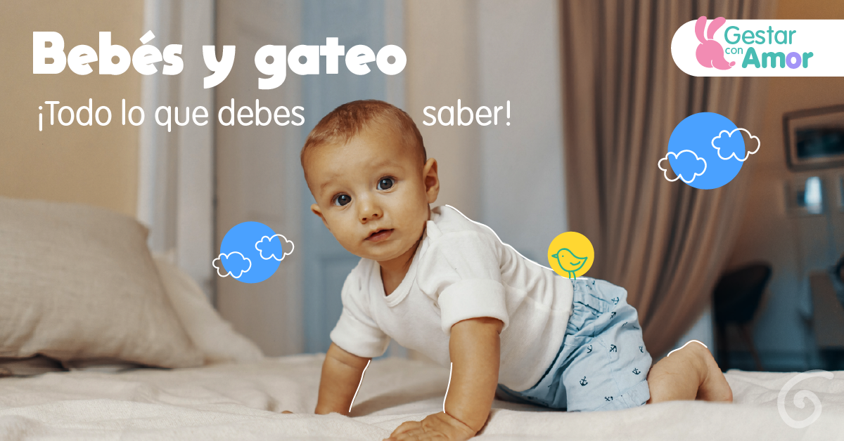 Bebés y gateo ¡Todo lo que debes saber! - Gestar con amor
