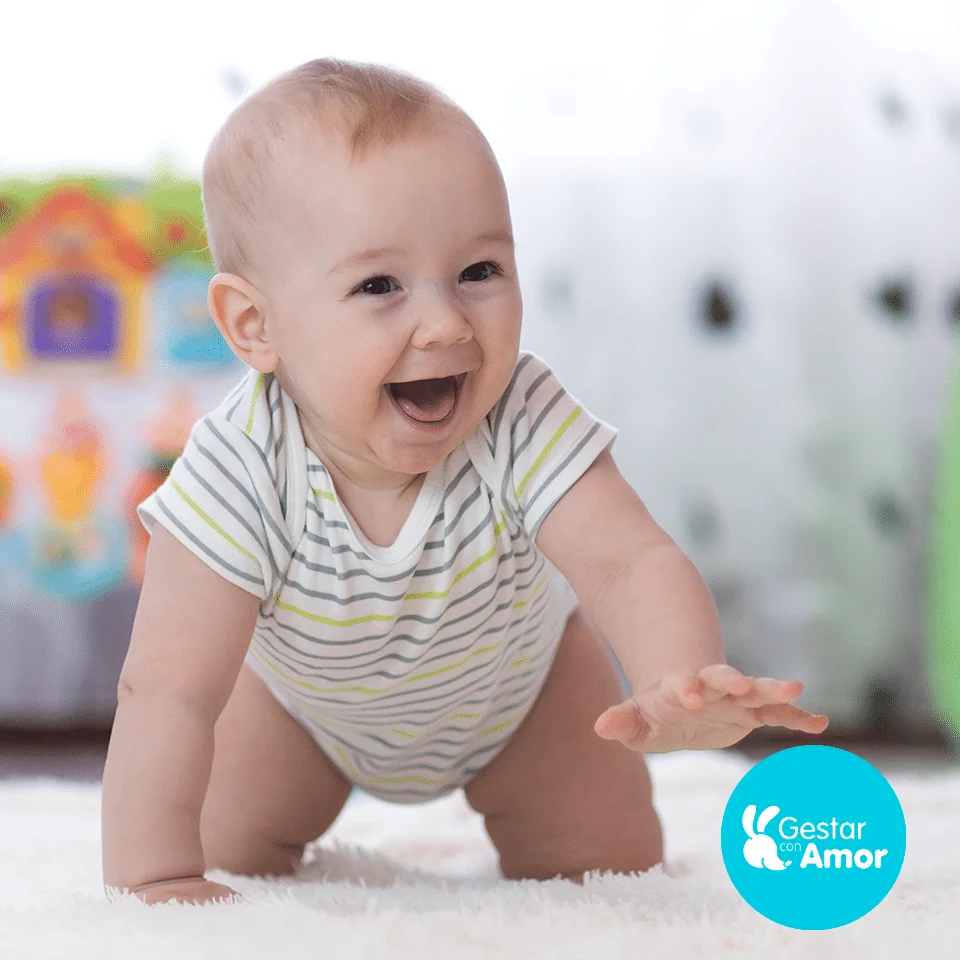 Gateo en Bebés: Mitos y realidades - Gestar con amor